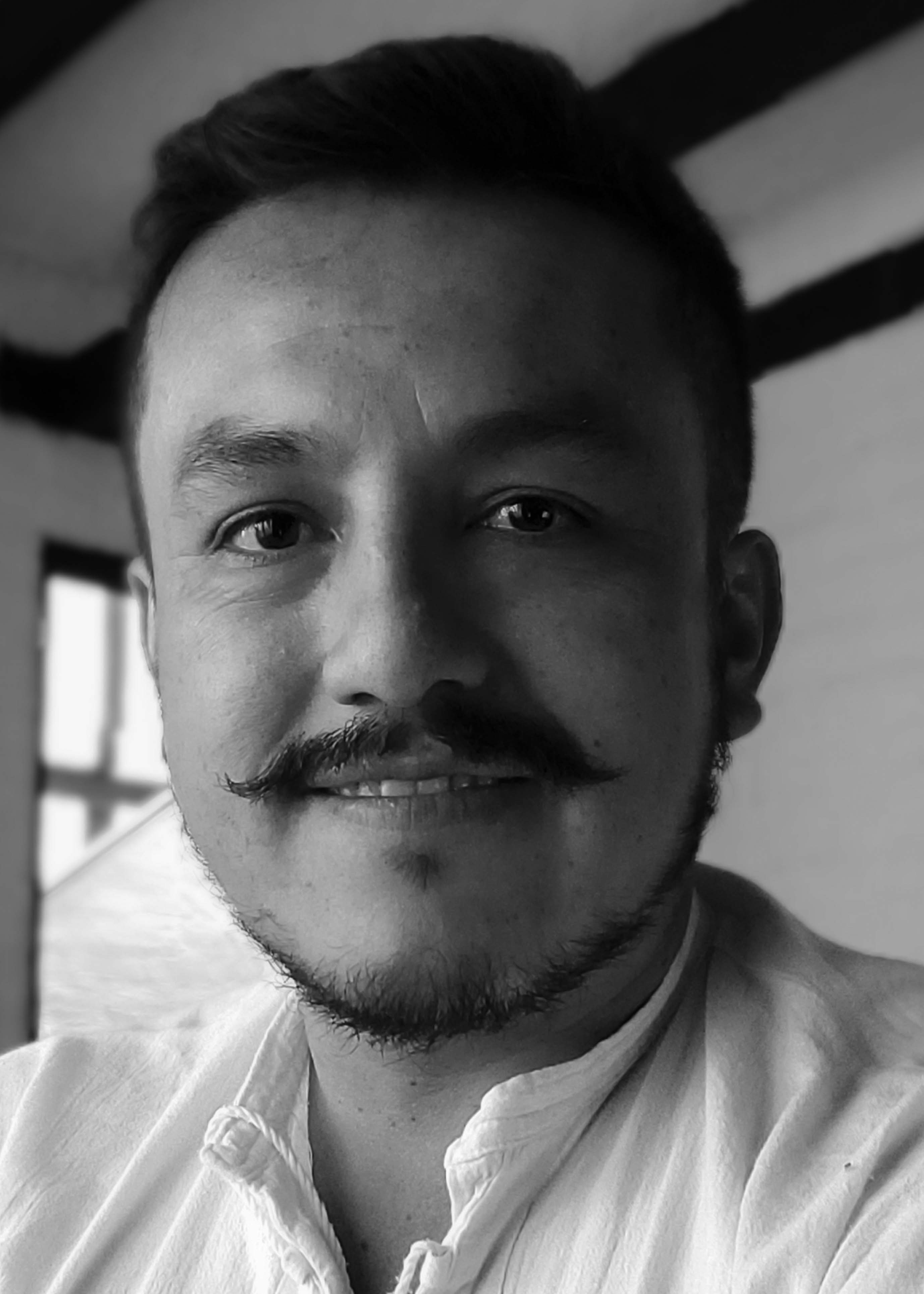 David Paz | Revista Crisis